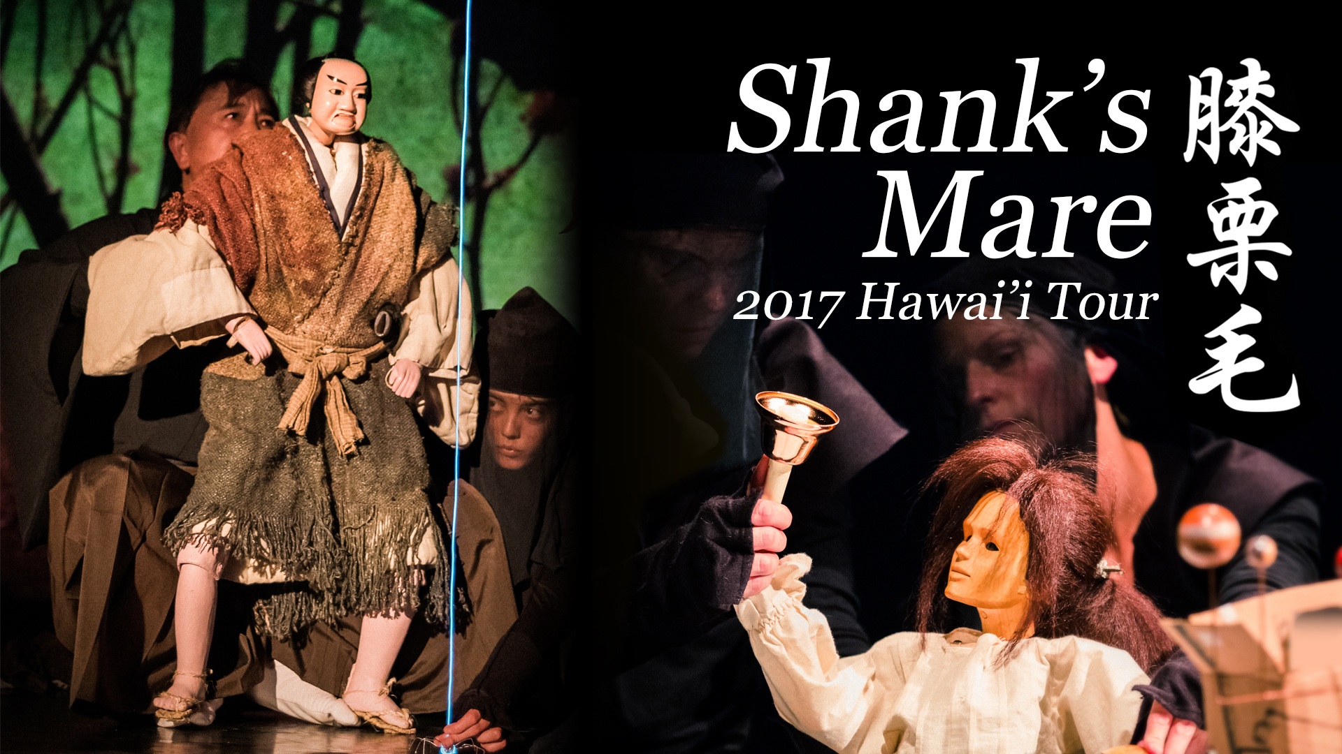 Shank’s Mare – tomleeprojects.com
